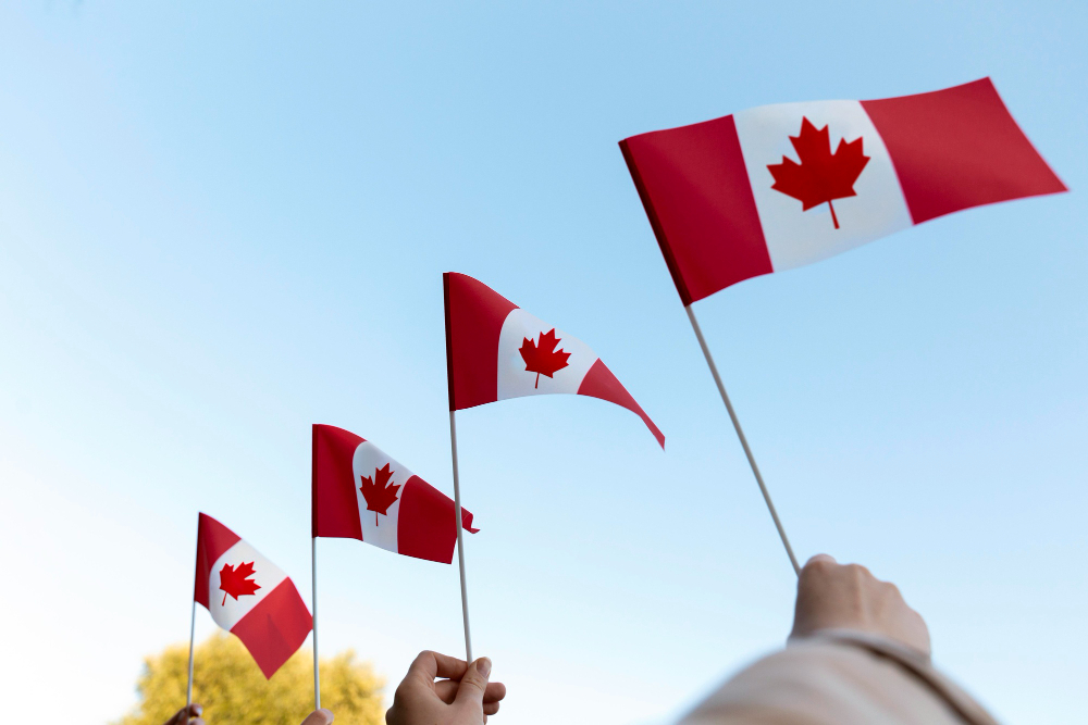 Dream Along Immigration – Dream Along Immigration
